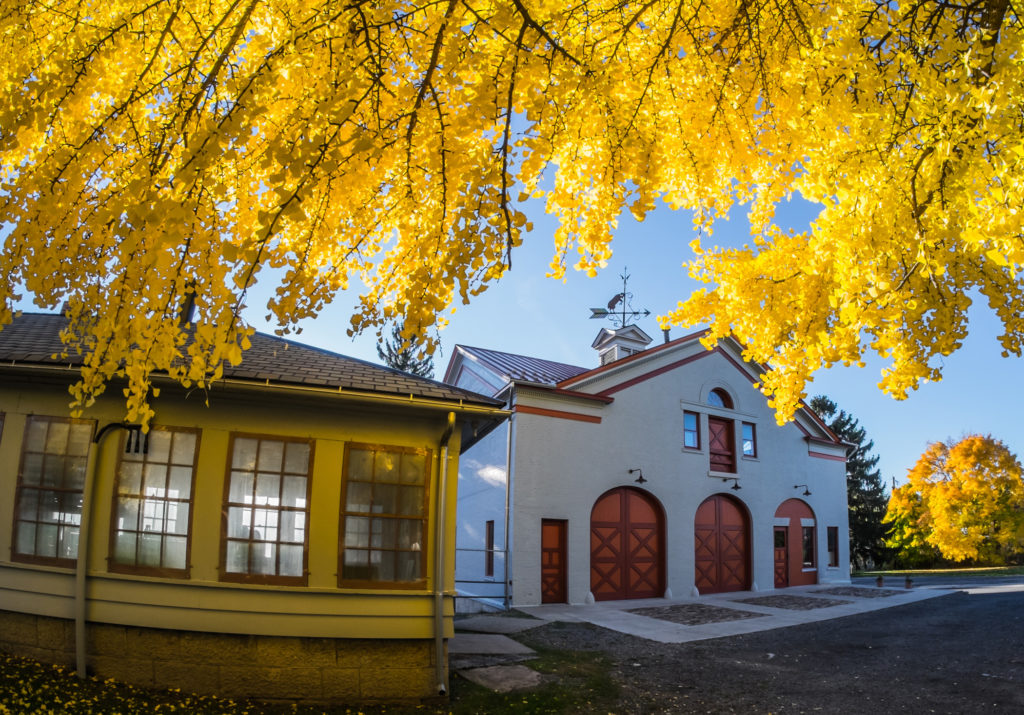 The Art of William Henry Yates - Cayuga Museum of History and Art