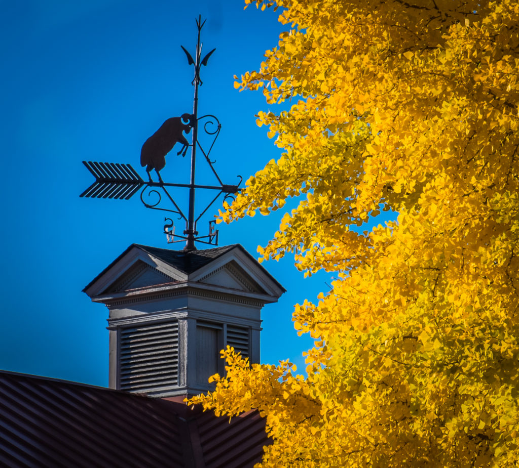 The Art of William Henry Yates - Cayuga Museum of History and Art